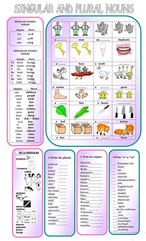 Singular And Plural Nouns Liveworksheets