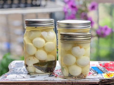 Oeufs De Caille Dans Le Vinaigre Glouton