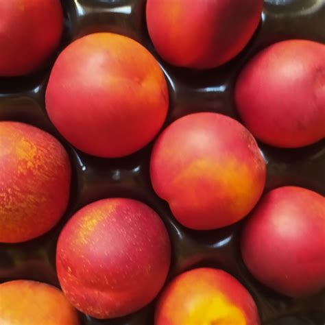 Azienda Agricola Sant Andrea Pesche Nettarine Reviews Abillion
