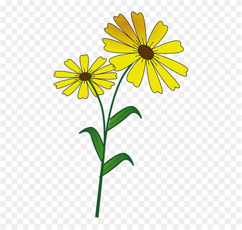 Flower Daisy Vegan Yellow Spring Happy Margarida Amarela Flor Desenho