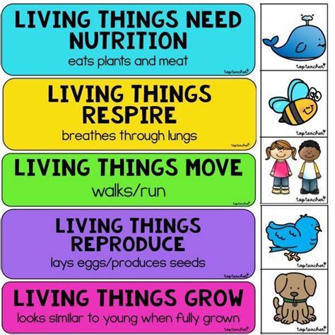 Characteristics Of Living Things Top Teacher