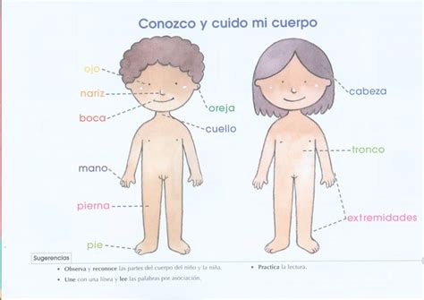 Pin de ʏᴏʜᴇɴɪᴀ ᴏʀᴛᴇɢᴀ ᴀʟᴄɪᴠᴀʀ en Recursos para El Aula Actividades