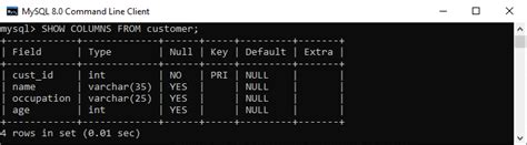 MySQL Describe Table Javatpoint