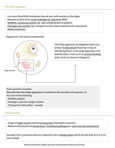 A AQA A Level Biology Topic 2 Revision Notes Cells Teaching Resources