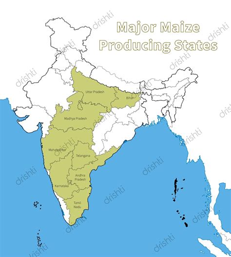 Cropping Patterns And Major Crops Of India Part One