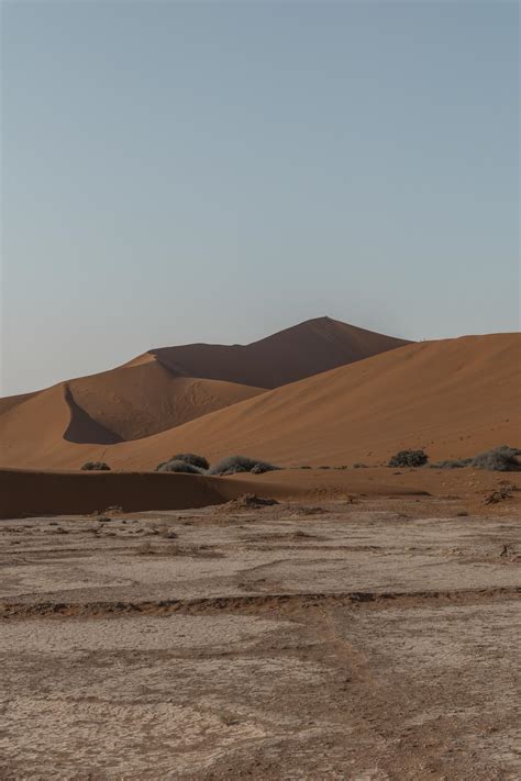 Big Daddy Dune Climb The Highest Sand Dune In Sossusvlei Danes On