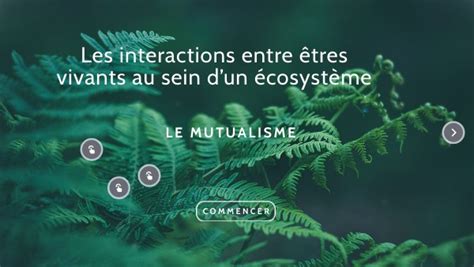 Les Interactions Entre Tres Vivants Au Sein Dun Cosyst Me
