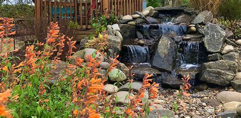 Landscapers In Eugene Oregon LandArc Landscaping Design