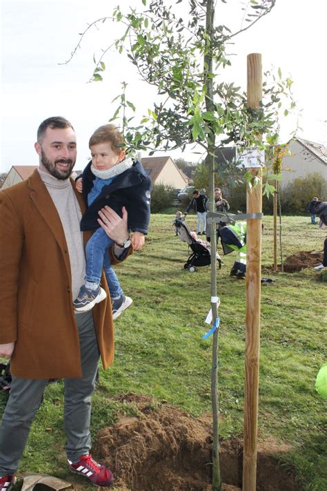 Une Naissance Un Arbre 26 11 2022 9 La Suze Sur Sarthe