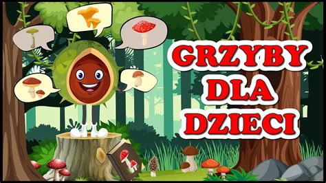 Grzyby Dla Dzieci Film Edukacyjny O Jesieni YouTube