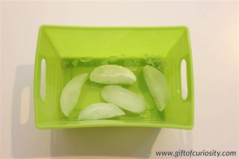 Water Cycle Demonstration Gift Of Curiosity