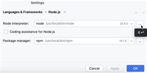 Configuring Remote Node Js Interpreters IntelliJ IDEA Documentation