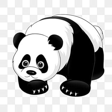 Pandas Clipart PNG Vector PSD And Clipart With Transparent