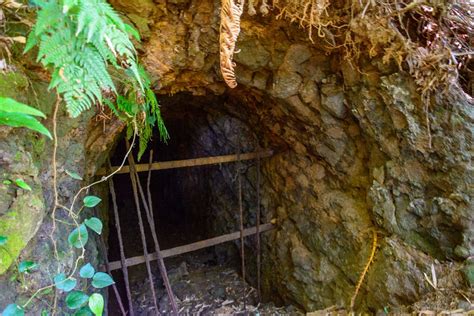 縄地本根岬 伊豆半島ジオパーク 見どころ おすすめ 伊豆ジオ遺産 南伊豆エリア 河津町