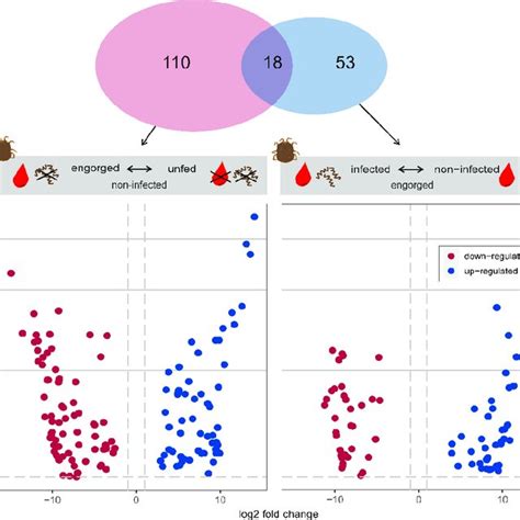 Differential Expression Analysis A Venn Diagram Showing The Total