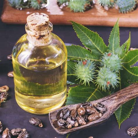 Coconut Oil Benefits Nutrition And Popular Uses Dr Axe