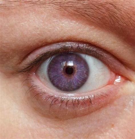 purple eyes Schöne augen Violette augen Augenformen