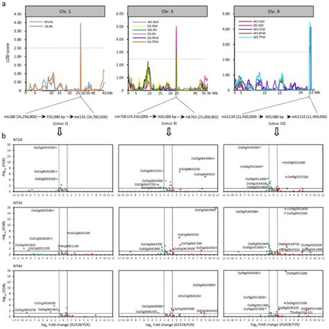 candidate gene identification by qtl mapping and expression profiling download scientific