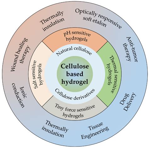 Gels Free Full Text Advances In Cellulose Based Hydrogels For