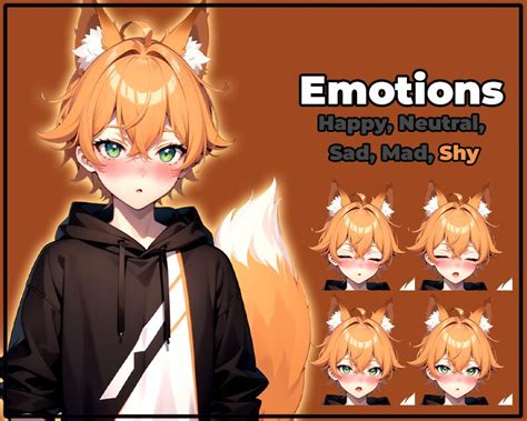 Pngtuber Fox Boy 2d Vtuber Premade Presetup Model With 5