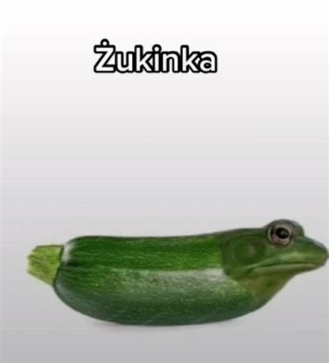 Funny Photos Funny Images Cute Frogs Funny Frogs Frog Meme Frog