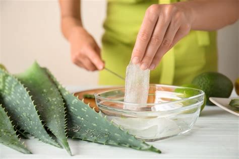 Cara Membuat Masker Lidah Buaya Untuk Memutihkan Wajah Yang Mudah