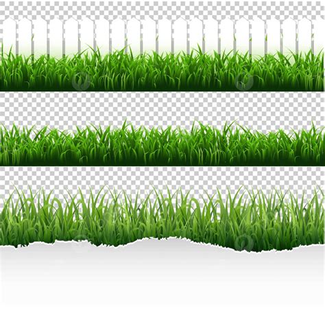 Borda De Grama Grande Conjunto Grama Horizontal Fresca Vetor PNG
