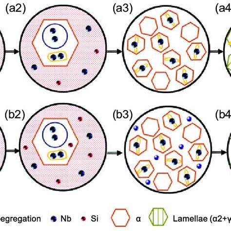 Schematic Diagram Showing Microstructure Evolution Of Ti Al Nbxsi