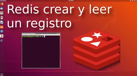 Programador Novato