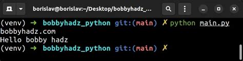 how to keep a python script output window open [7 ways] bobbyhadz