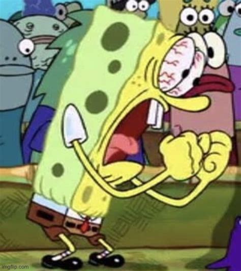 Yelling Spongebob Imgflip
