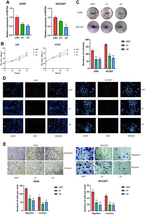 Identification Of Fatty Acid Related Subtypes The Establishment Of A