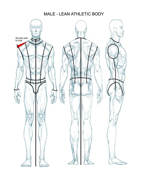Male Body Drawing Template