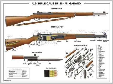 M Garand Diagram