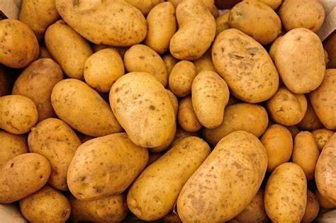 Usos Y Propiedades Nutricionales De La Patata Cocina