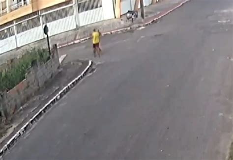CPI divulga vídeo do momento exato em que policial atira em cachorro