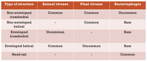 The Structure Of Virus Particles Flashcards Quizlet