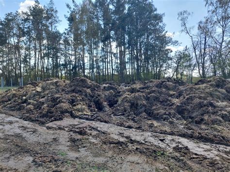 Obornik koński sprzedam lub zamiana Szymaniszki OLX pl