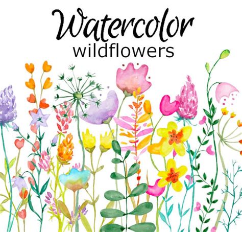 WATERCOLOR CLIPART Wildflowers Flowers Png Graphics Etsy