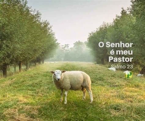 Arquivos O Senhor O Meu Pastor Portal Revela O
