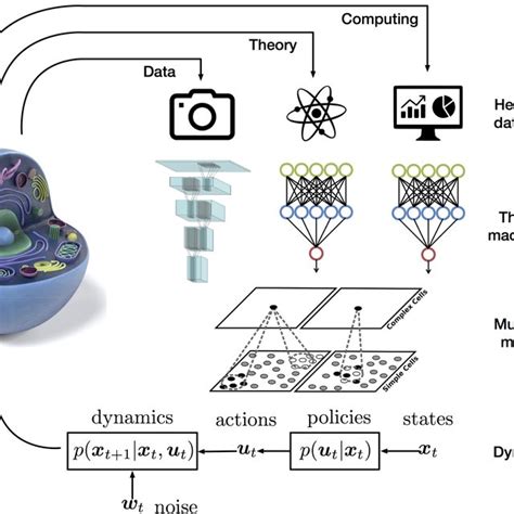 data driven machine learning for multiscale modeling of biomedical download scientific diagram