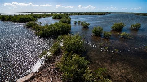 Ciénaga de Zapata National Park CU Vacation Rentals more Vrbo