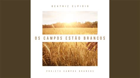 Os Campos Est O Brancos Youtube