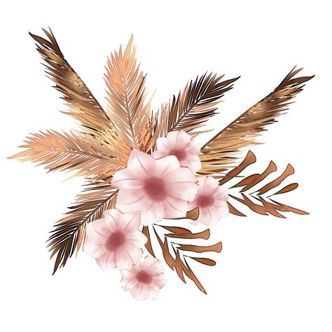 Planta Em Aquarela De Grama Dos Pampas PNG Grama Dos Pampas Aguarela