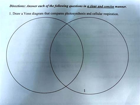 Solved Directions Answer Each F The Following Questions In G Clear