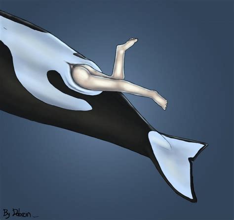 Rule 34 2012 Cetacean Collaboration Dolorcin Dolphin Female Feral Human Inside Mammal Marine