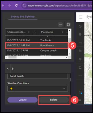 How To Delete Arcgis Survey Records In Arcgis Experience Builder