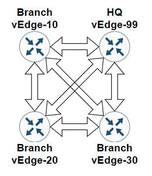 Cisco SDWAN Hub And Spoke Topology