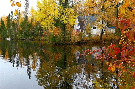 Landscape Fall Nature Reflections Colors Trees Lake Branches