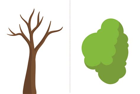 A Green Tree Next To A Brown Tree With No Leaves On The Top And Bottom